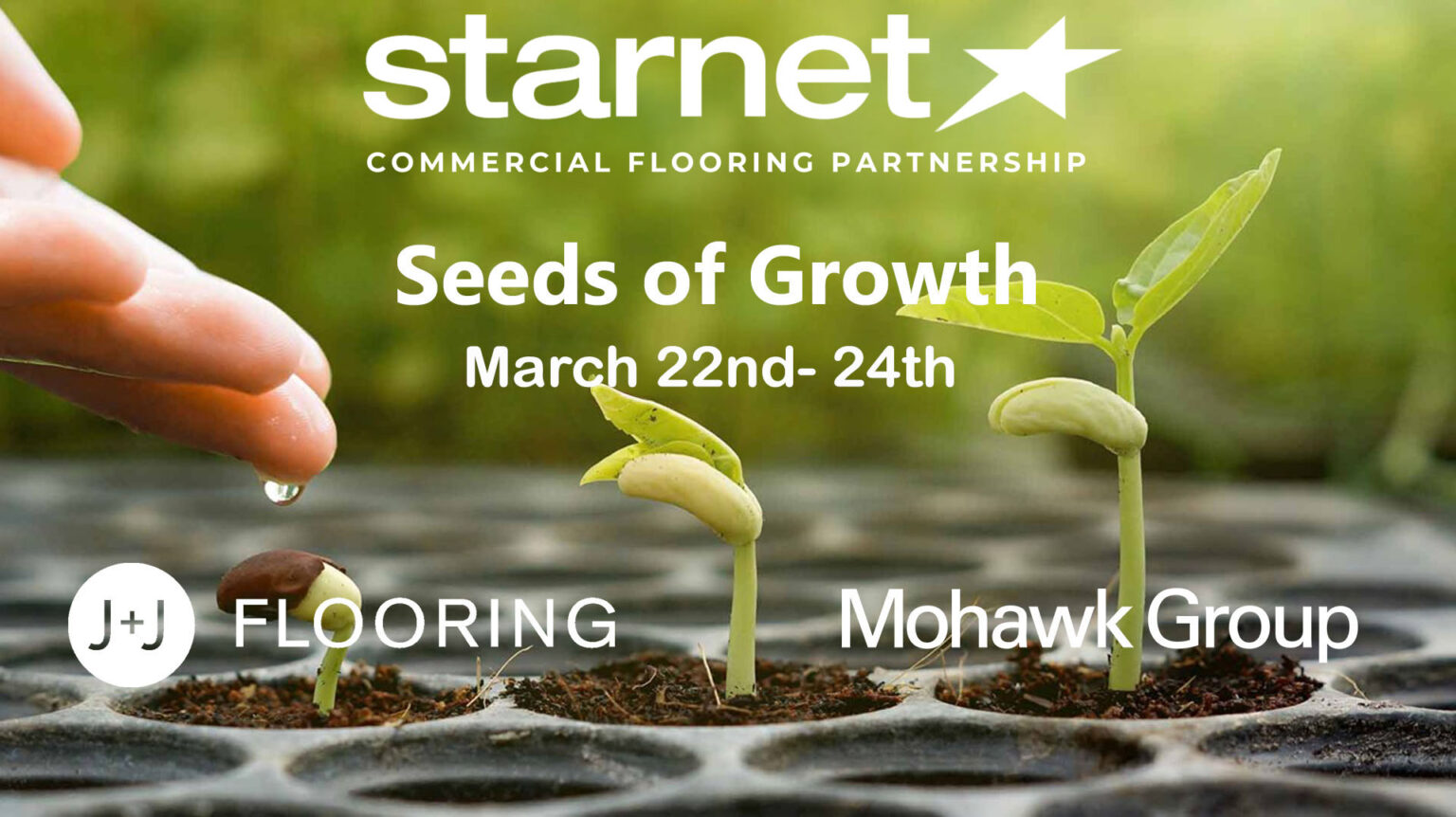 Seeds of Growth – Starnet Commercial Flooring